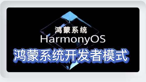华为鸿蒙系统的开发者模式