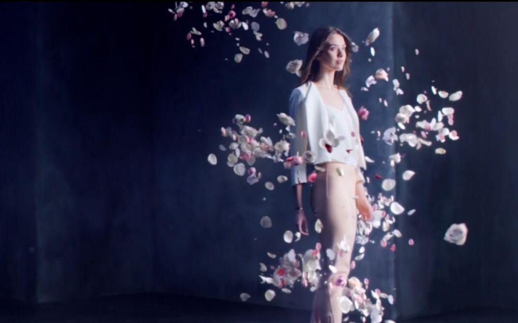 【AE教程】AE制作花瓣沿路径飞舞