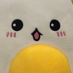小天天和小强 