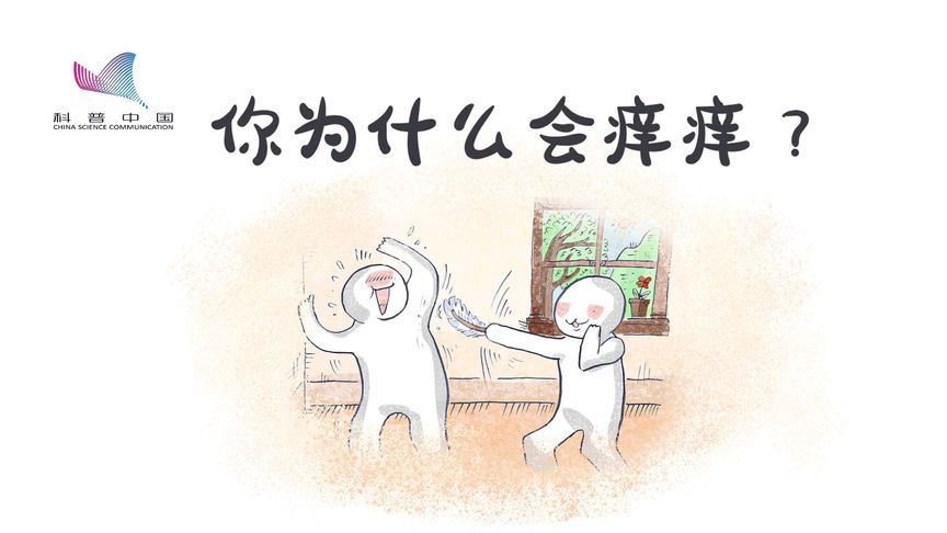 痒和痛总是相伴发生,本质上是同一种感觉?其实两者大有区别!