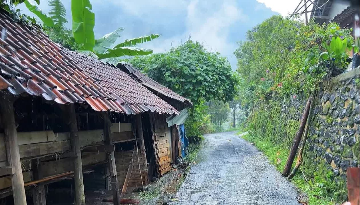 美丽的雨落在我们印度尼西亚的村庄||感觉更凉爽、更绿
