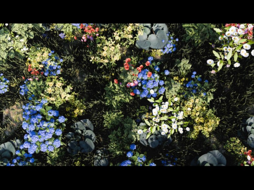 十分钟教会你如何制作植物生长动画