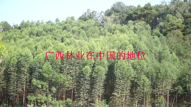 广西林业在中国的地位2