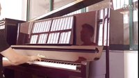 品牌:PRUTHNER 型号:P100S 特制(豪华特制版)番号:57847 年限:1995...