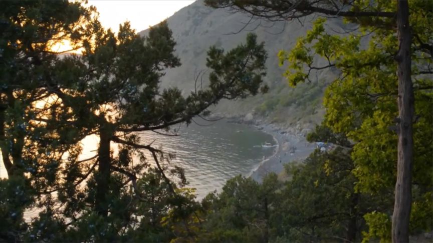 治愈放松助眠:除了闹钟的滴答声和树枝的摇摆声,周围一片寂静。