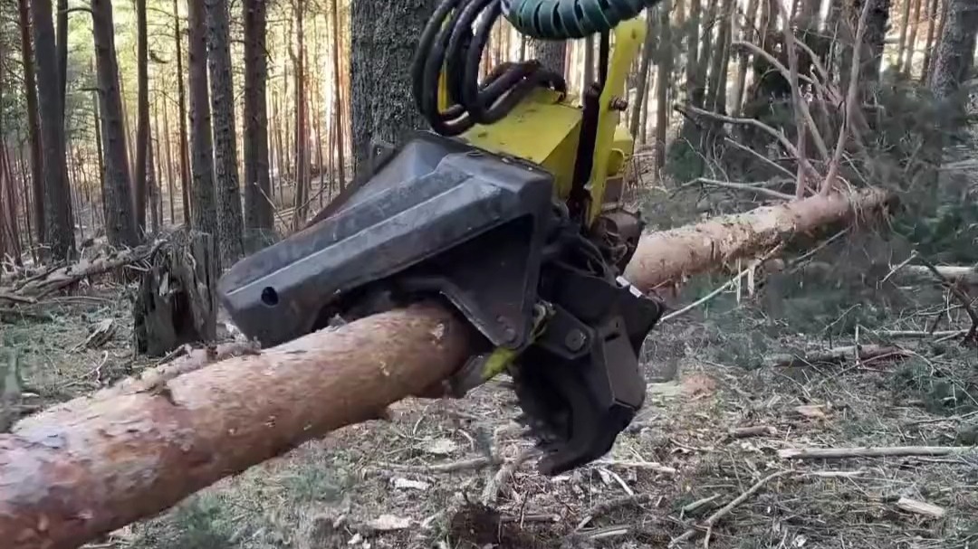 树木全自动砍伐机 #树木砍伐 #砍伐树木