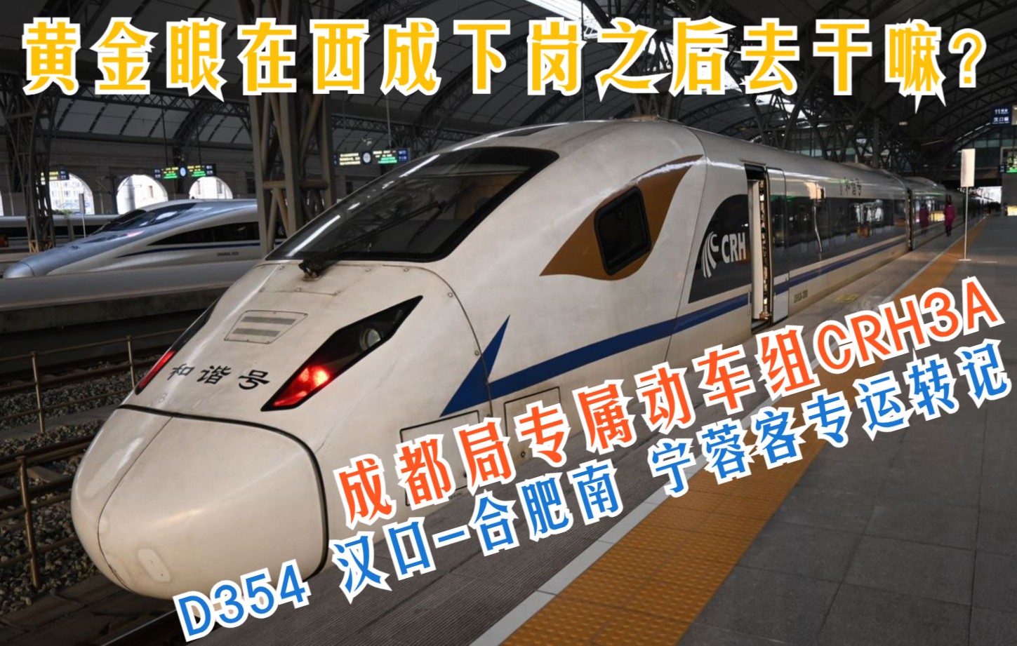 ...成都局专属动车组CRH3A,D354 汉口-合肥南 宁蓉客专短途运转记