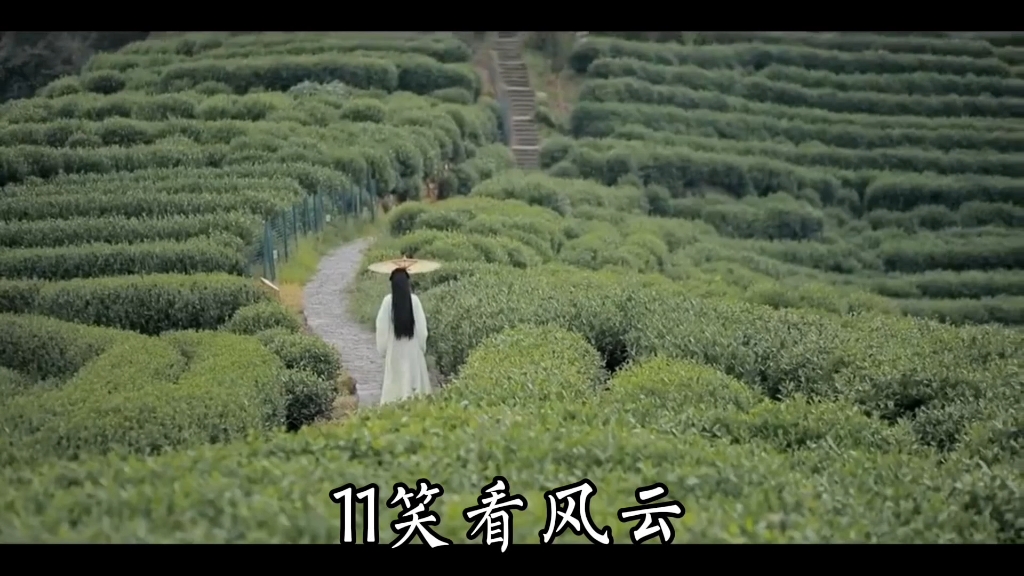 治愈文案| 适合写在微信置顶的句子