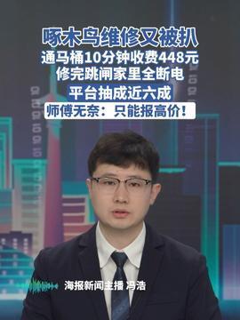 啄木鸟维修又被扒:通马桶10分钟收费448元,修完跳闸家里全断电 平台...