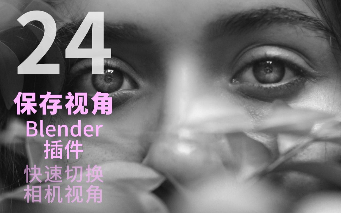 blender 保存视角插件_快速切换相机视角