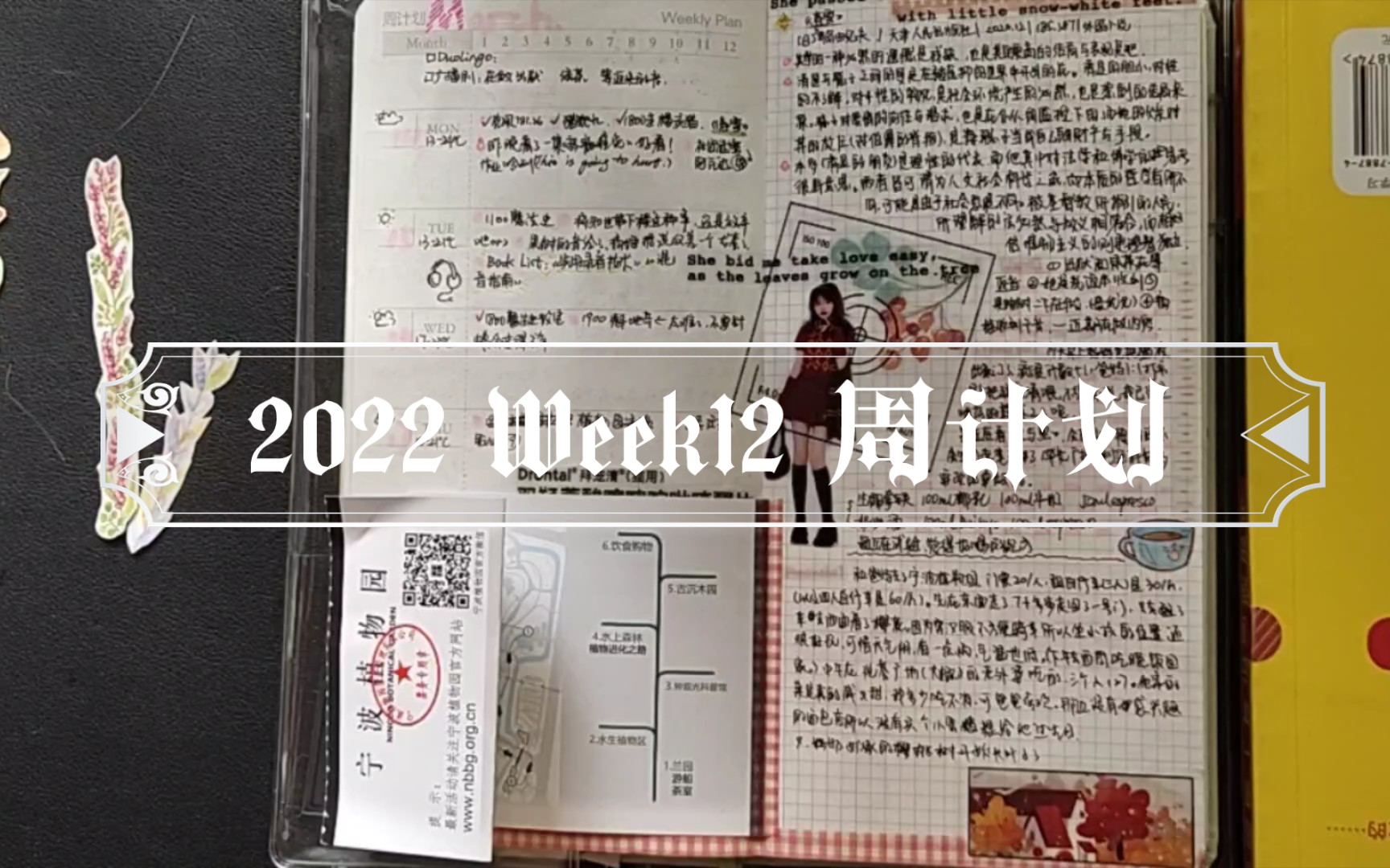 【手帐】2022week12周计划