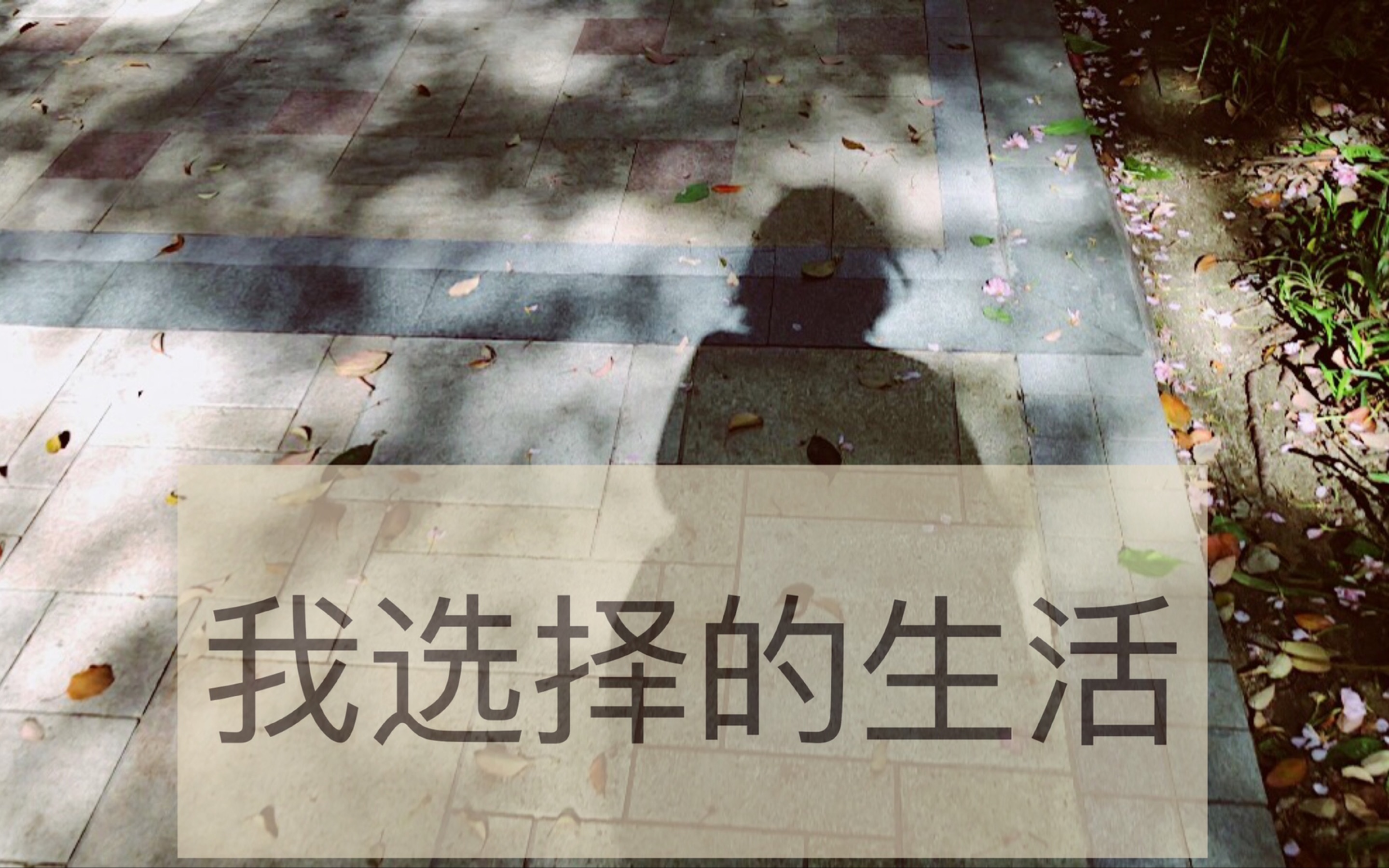 平凡生活 | 一周日常 Vol.5 // 喝酒, 跳舞,SPA,好天气,猫咪疗法,周六晚上...