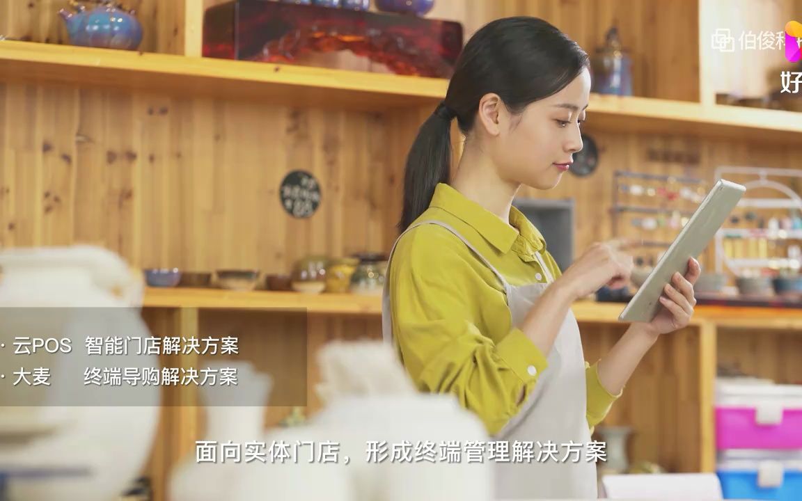 上海伯俊软件科技有限公司--企业宣传片,财经,公司经管,好看视频