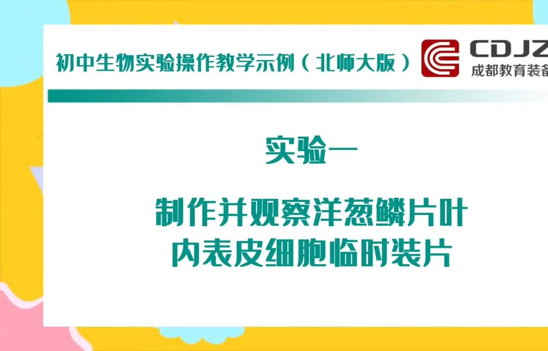 制作并观察洋葱鳞片叶内表皮细胞临时装片