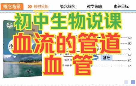 【概念教学 | 说课】初中生物《血流的管道——血管》