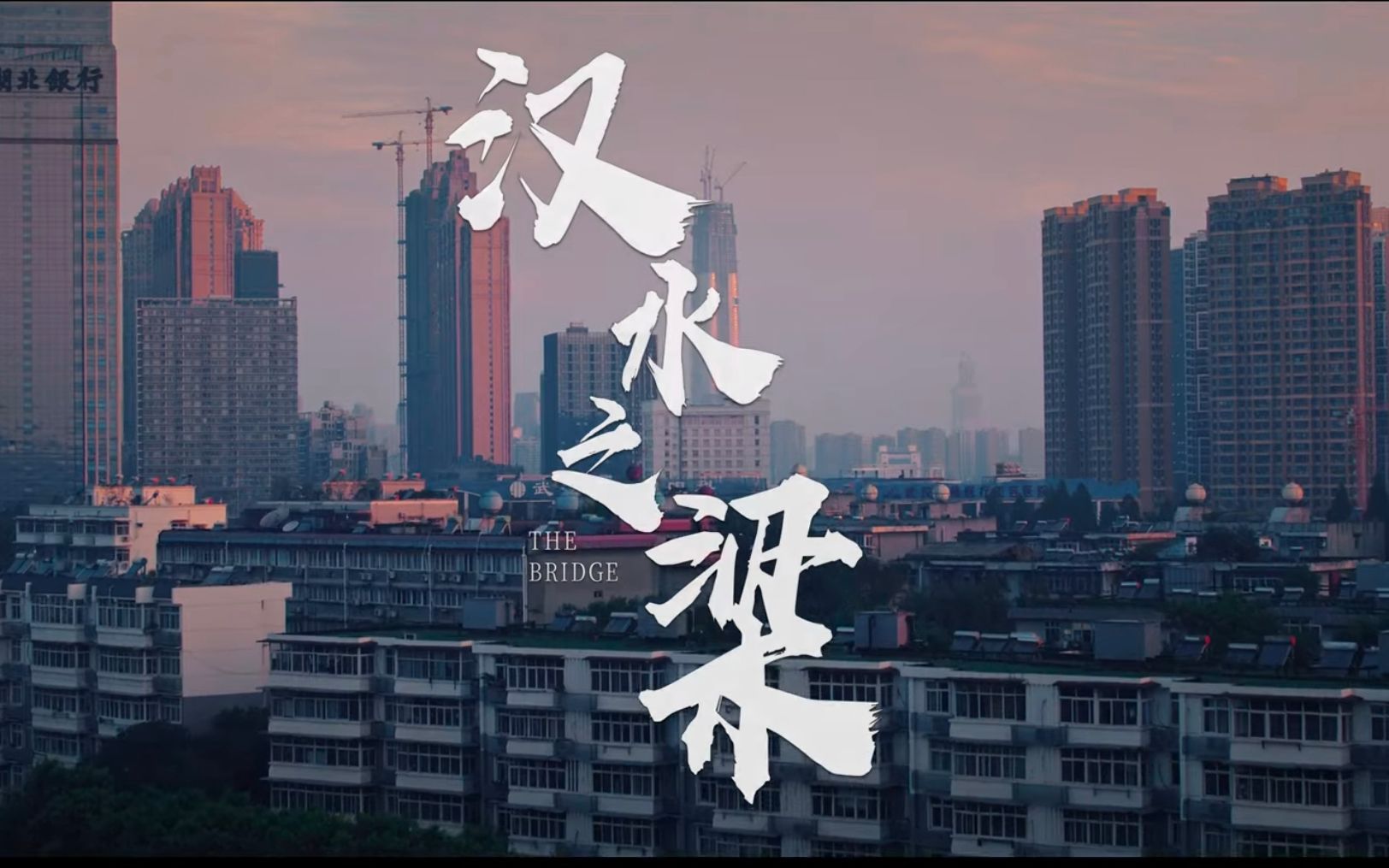 【混剪/抗疫/新冠肺炎】汉水之梁(献给所有的抗疫人士及支持者)