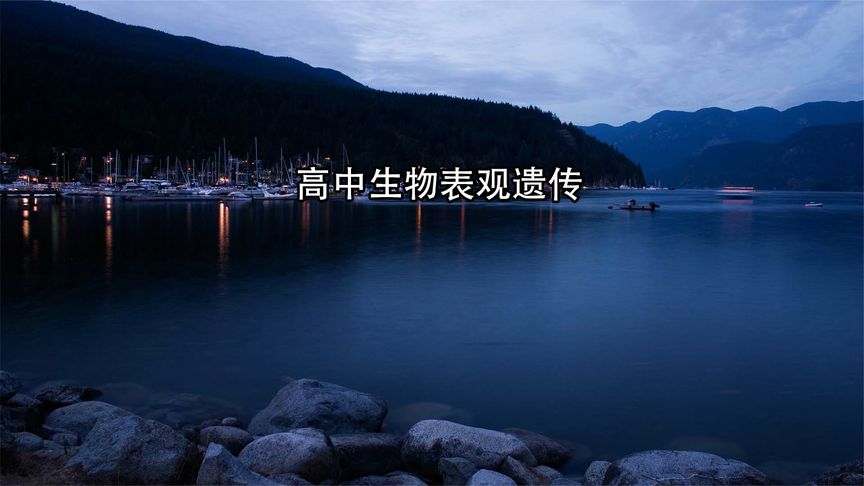 高中生物表观遗传【转载】