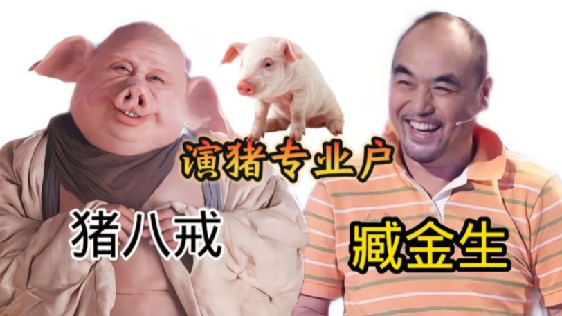 臧金生演猪八戒有多经典?八戒天选之子!