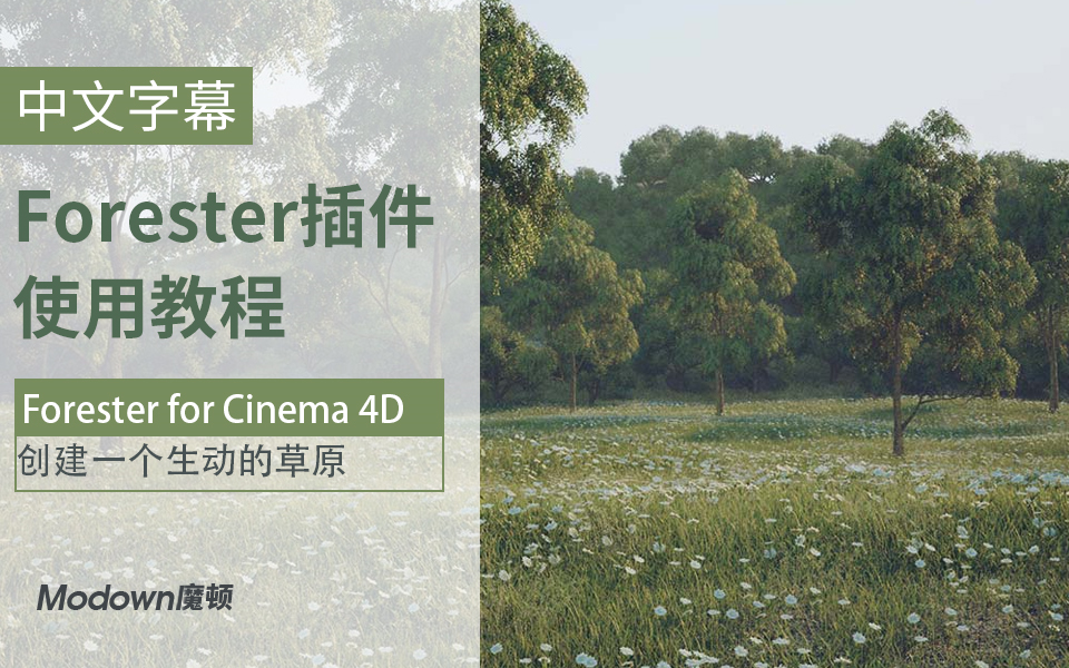 【C4D-Forester插件使用教程】之如何创建一个生动的草原+从零开始...