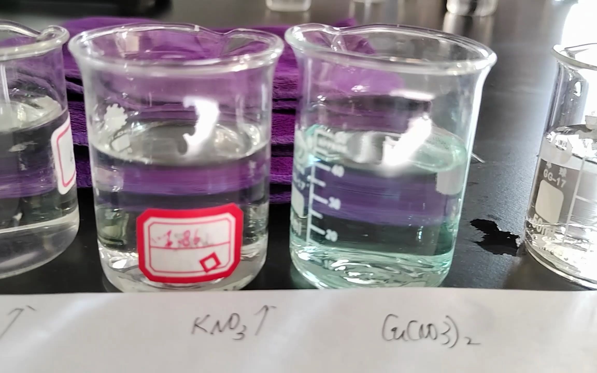 【实验室日常】【枫神】探究化学反应速率的影响因素