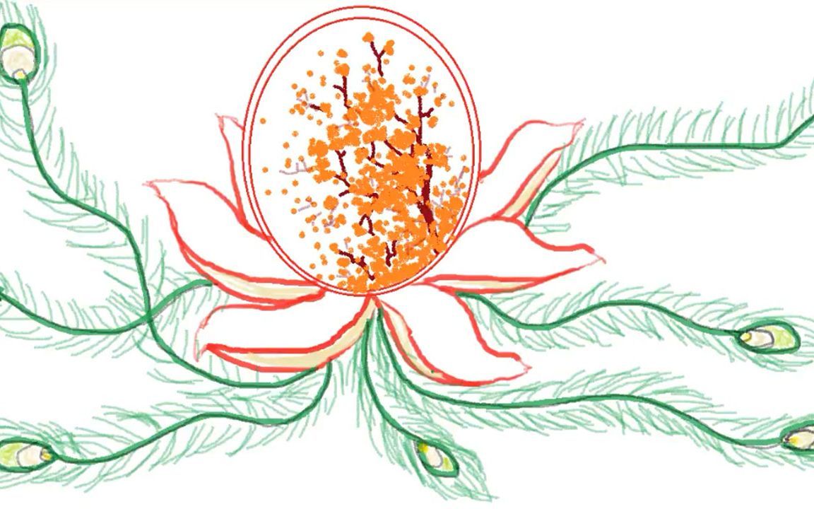 电脑鼠标绘画:2分钟画出唯美插画