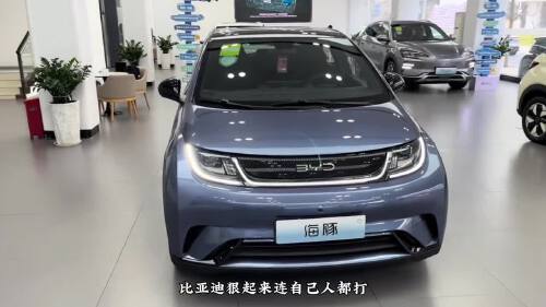 比亚迪海豚 2024款比亚迪海豚需要多少钱落地