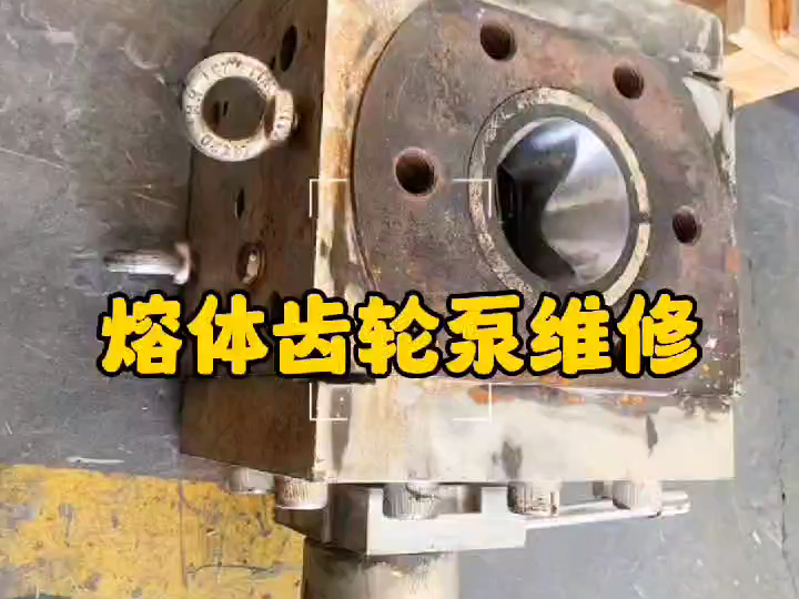 进口熔体泵计量泵维修-巴特熔体计量泵齿轮维修