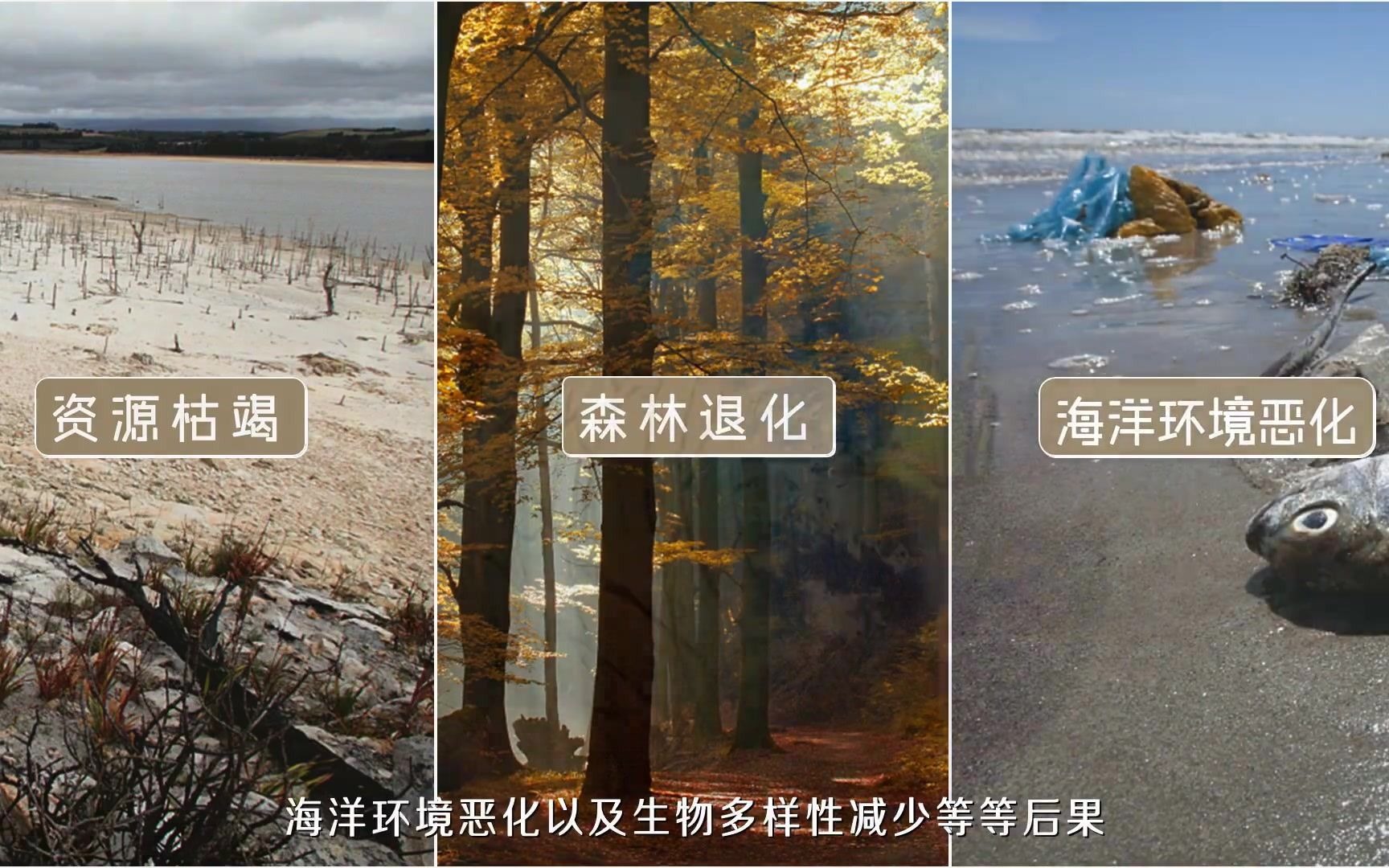 《良好生态环境是人类健康生存和发展的基础》生态环境没有替代品,...