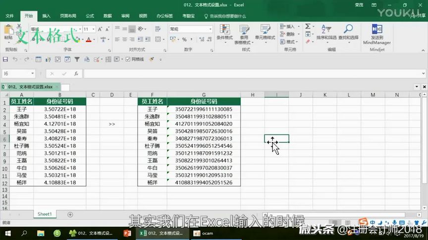 注册会计师Excel必备技能10:文本格式