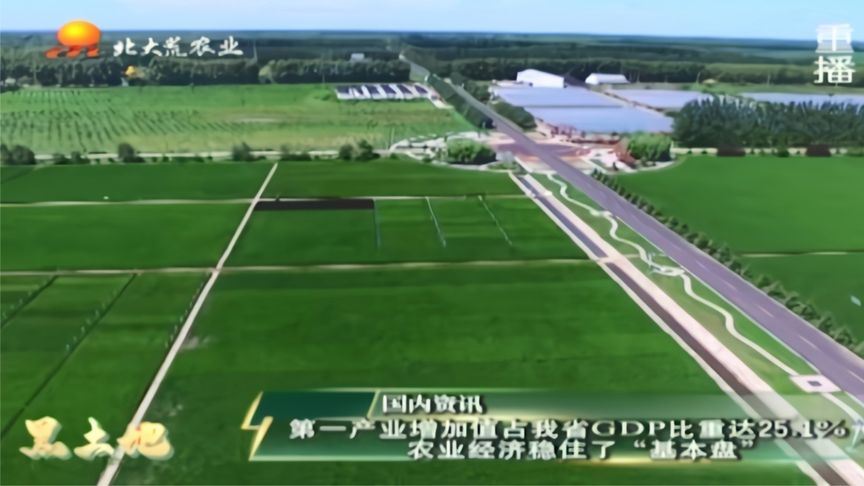 第一产业增加值占我省GDP比重达25.1% 农业经济稳住了“基本盘”