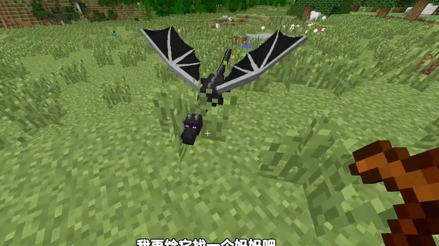 我的世界:把末影龙变成宠物养?这个梦想我终于实现了!超萌的