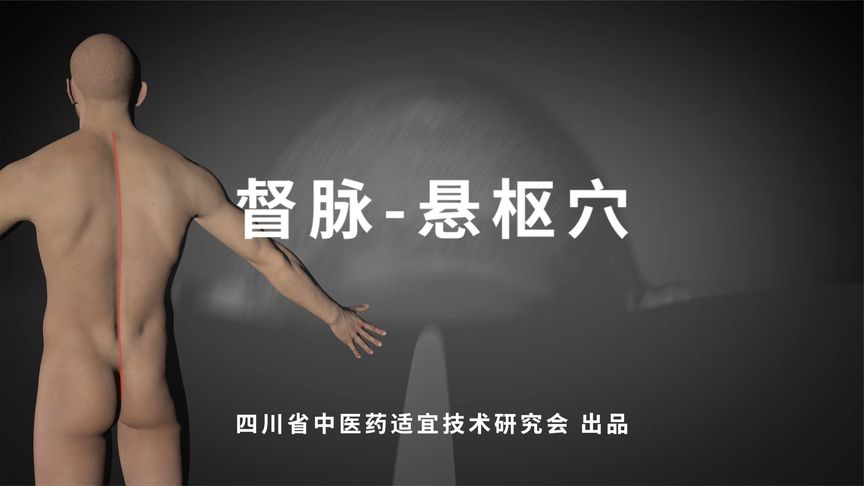 398个穴位,你都知道吗?督脉-悬枢穴