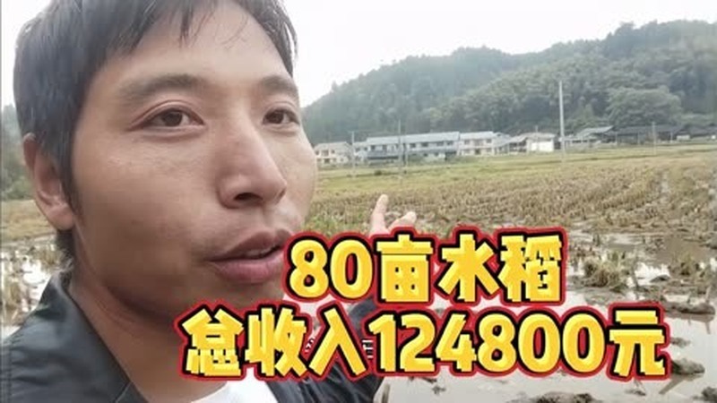 种植80亩水稻,收获稻谷9600斤,一年总收入124800元