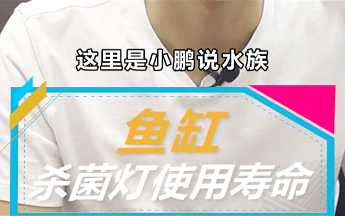 水族小知识,鱼缸杀菌灯,使用寿命有多久?