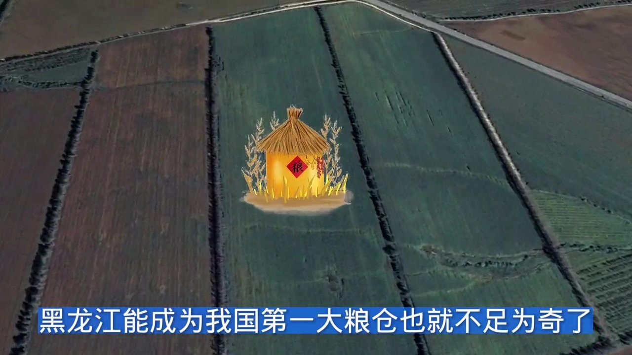 我国盛产粮食的3大省,贡献全国近4成粮食,一起来了解一下吧