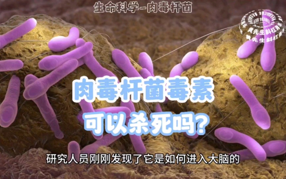 肉毒杆菌毒素可以杀死吗?带你了解它是如何进入大脑的?