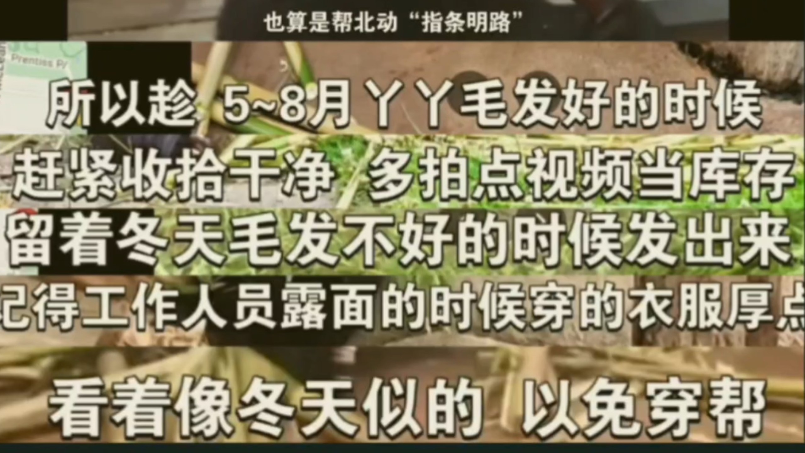 爬行天下的库存论谣言,对比熊猫丫丫现状与在孟菲斯同月状态,证明了...