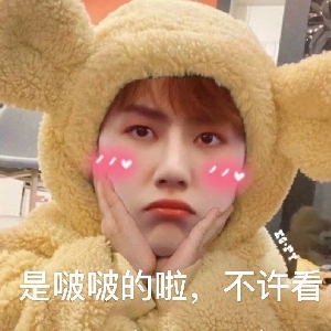 什么都想学的小宋 