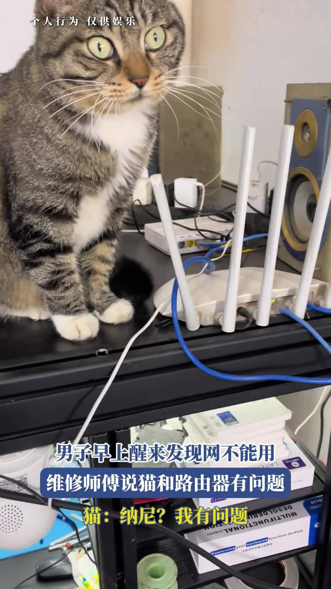 男子早上醒来发现网不能用,维修师傅说猫和路由器有问题