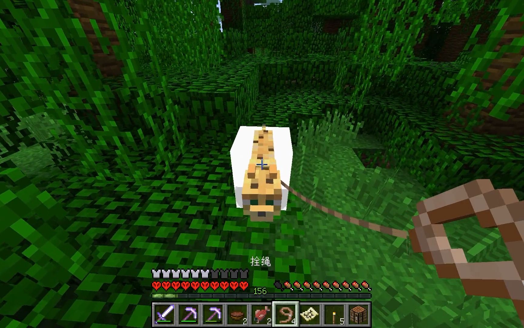 【晓月Zero】《我的世界◆Minecraft》MITE模组R195极限生存 53 丛林