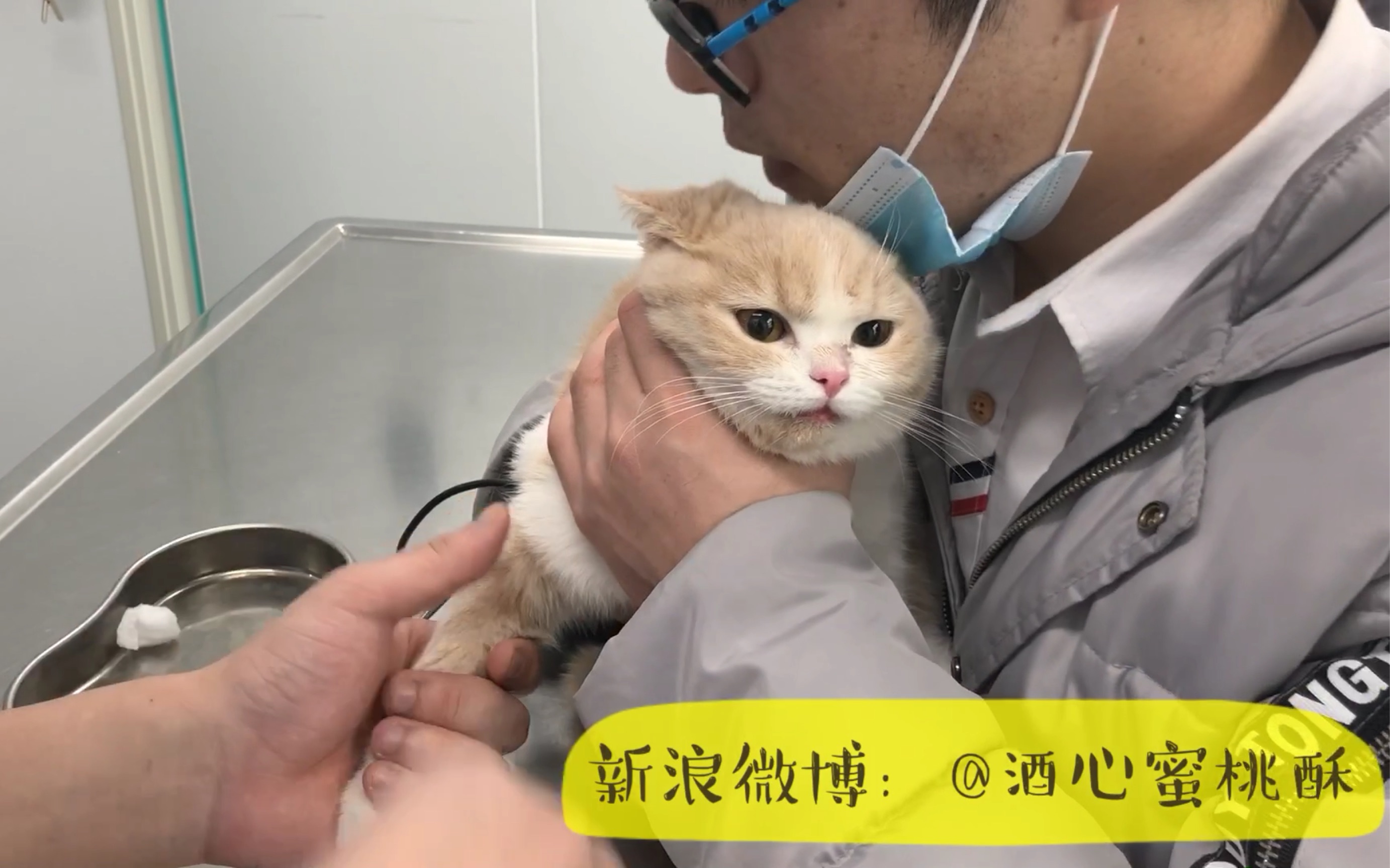 人家不要打针!人家怕怕!哭唧唧