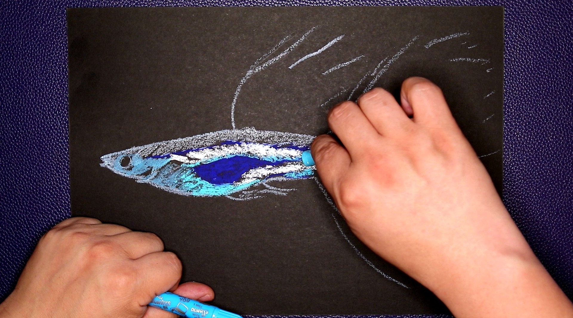 日本培育出的新品种,让普通小鱼价格翻倍,油画棒告诉你它是谁?