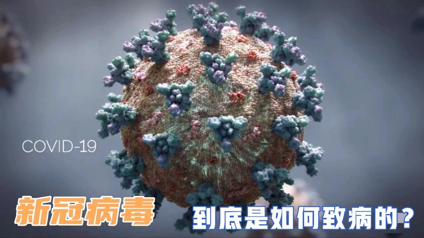 详细解读新冠病毒入侵人体后,免疫系统是如何大战新冠病毒的?