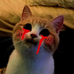 某只猎奇猫 
