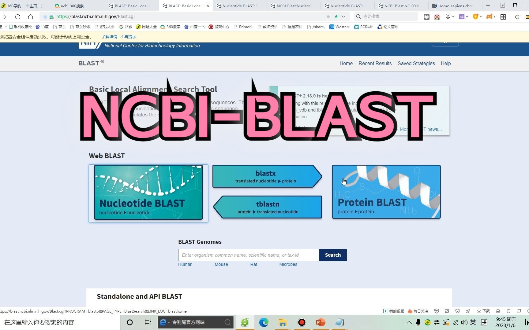 【NCBI-BLAST】-- NCBI—Blast 工具介绍 I 用序列查基因 I 目标序列...