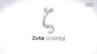 安东帕Zeta电位分析固体表面分析仪SurPASS