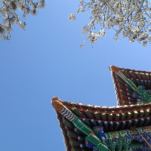 松塔聊数学 