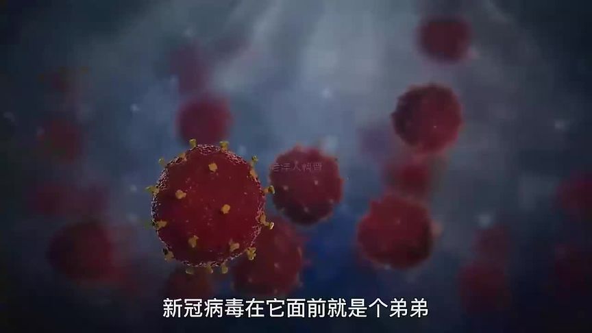 盘点世界上最致命的五种病毒,新冠病毒在他面前都是弟弟。