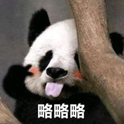 沙叼叼叼的助眠 