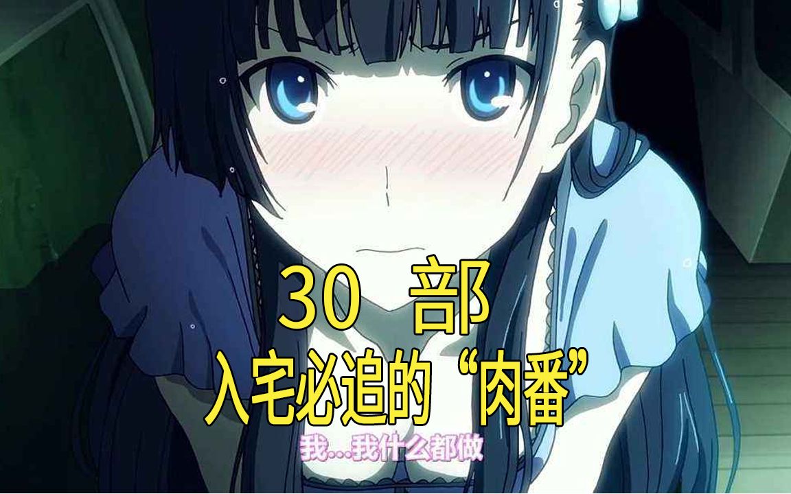 [推荐]入宅必追的30部肉番,你全看了吗?(12-14年版)
